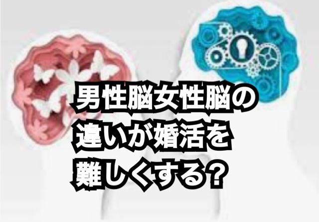 男性脳、女性脳の違いが婚活を難しくしている? 最短結婚ナビ 東京銀座の結婚相談所